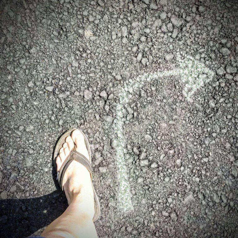 Der Mensch ist eine Gewohnheitstier – Lorines Welt